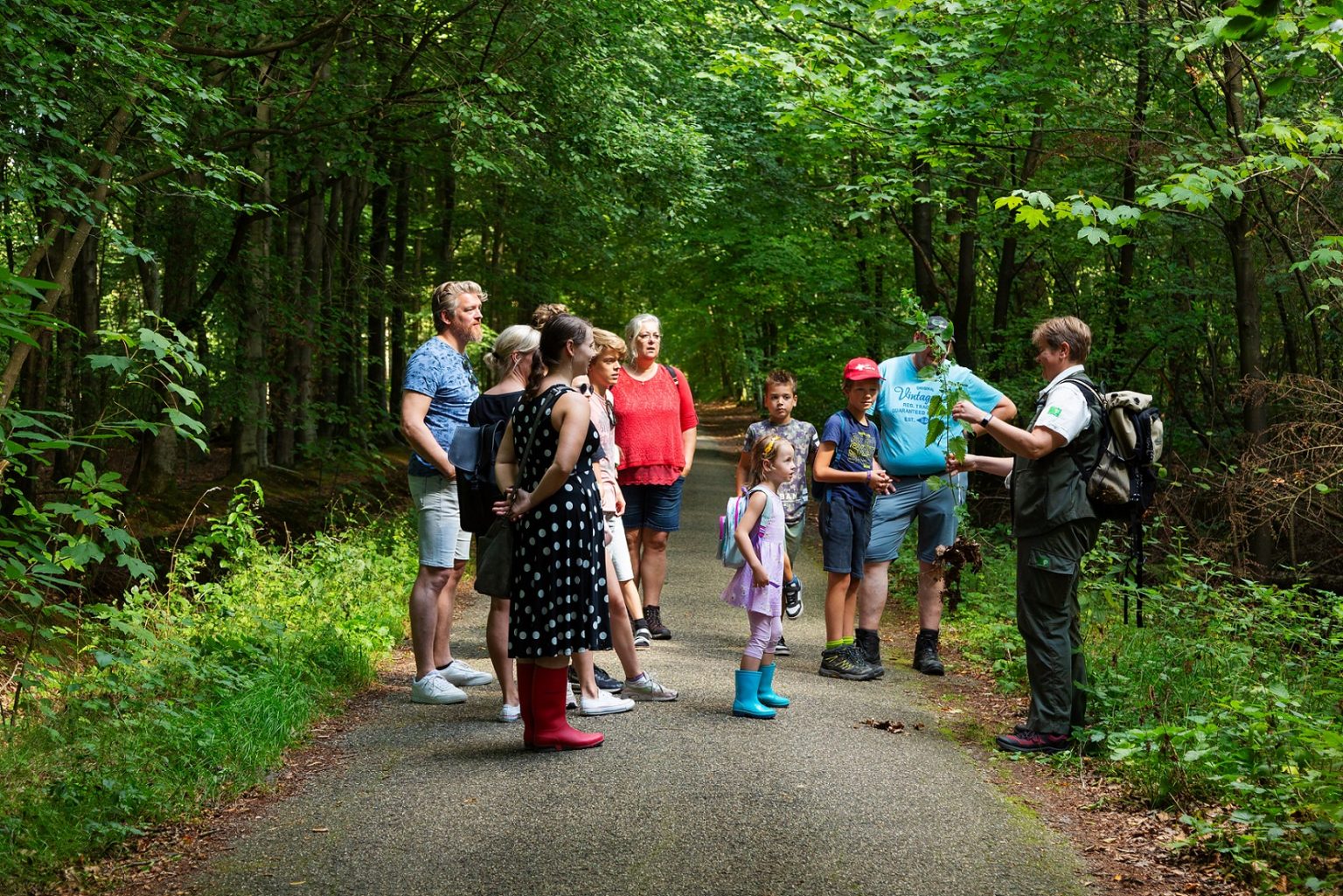 Gezinsexcursie Wild op woensdag in het Drents-Friese Wold – RTV Meppel
