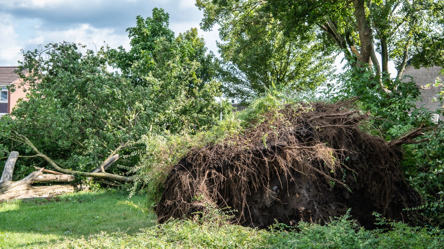 Stormschade 26 augustus – RTV Meppel