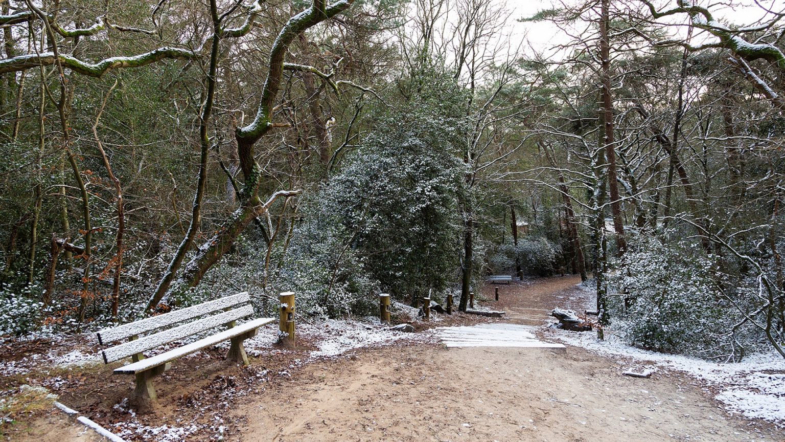 Winterwandeling rond de Bosberg – RTV Meppel